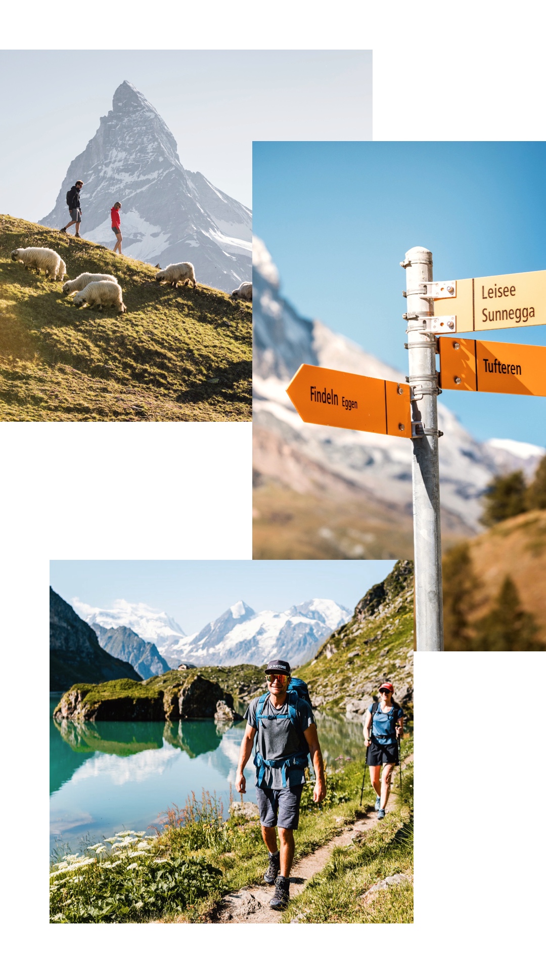 Top 6 Summer activities in the Alps - Bramble Ski